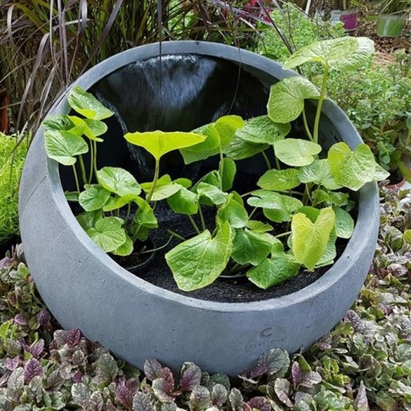 Creastone vuur element! - Happy Ayla